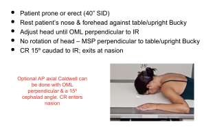 Flashcards - Unit 4 Skull