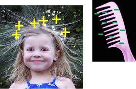 Flashcards - Chapter 10