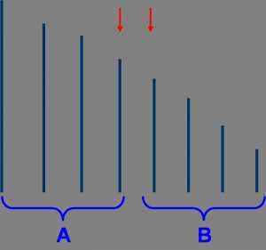 Flashcards - Psc 161 Exam 2