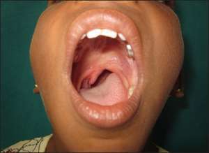 Flashcards - Test 2 Part 1