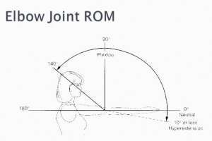 Flashcards - ROM, PROM, and Goniometry