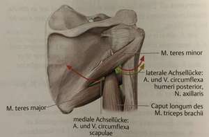 Flashcards - Lernpaket 2