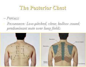 Flashcards - Health Assessment