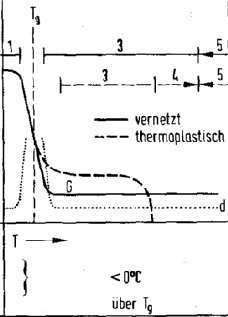 Flashcards - EKT Standard Thermoplaste.txt