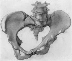 Flashcards - Obstetrics 11