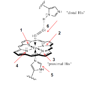 Flashcards - Module 3