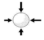 Flashcards - ScienceChapter2