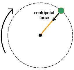 Flashcards - IGCSE Forces