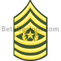 Flashcards - army Enlisted ranks