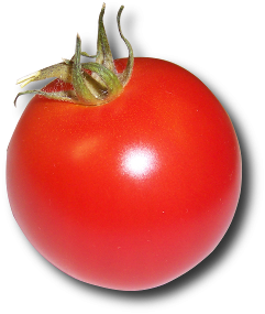 Flashcards - example_cards[1]