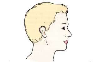 Flashcards - Dental Anatomy Final