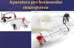 Flashcards - 03 Elektroforeza
