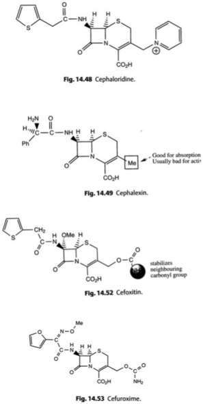 Flashcards - Antibiotika T6: Mekanismer o klassificering (se även ...