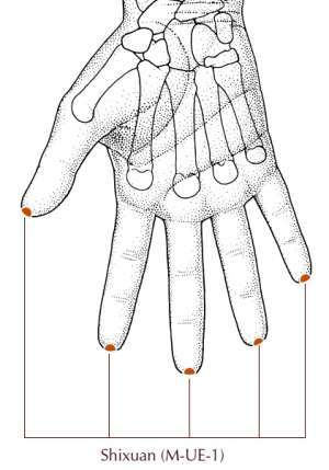 Flashcards - Extra Points