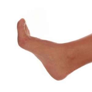 Flashcards - Laterality Exercise 1